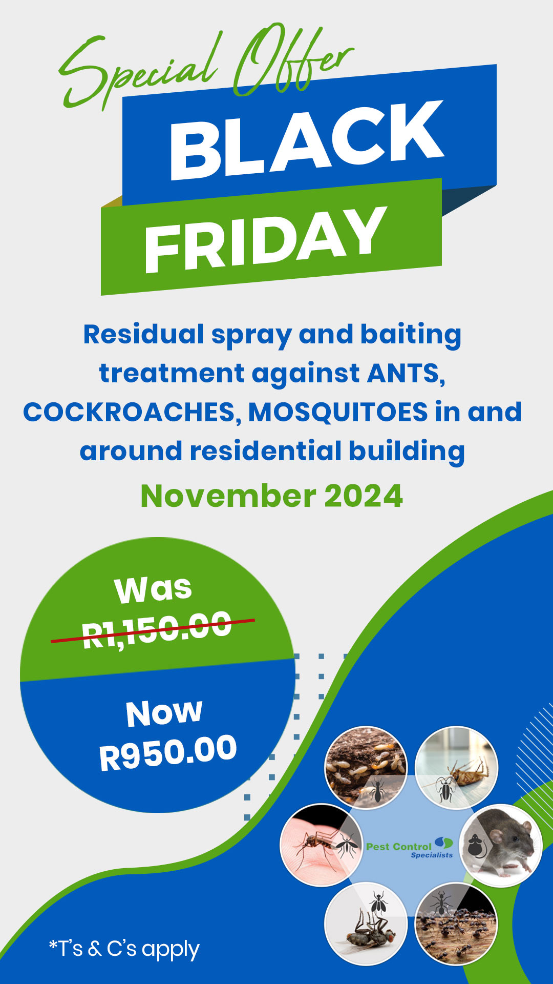 Ants Treatment Durban | Pest Control Durban